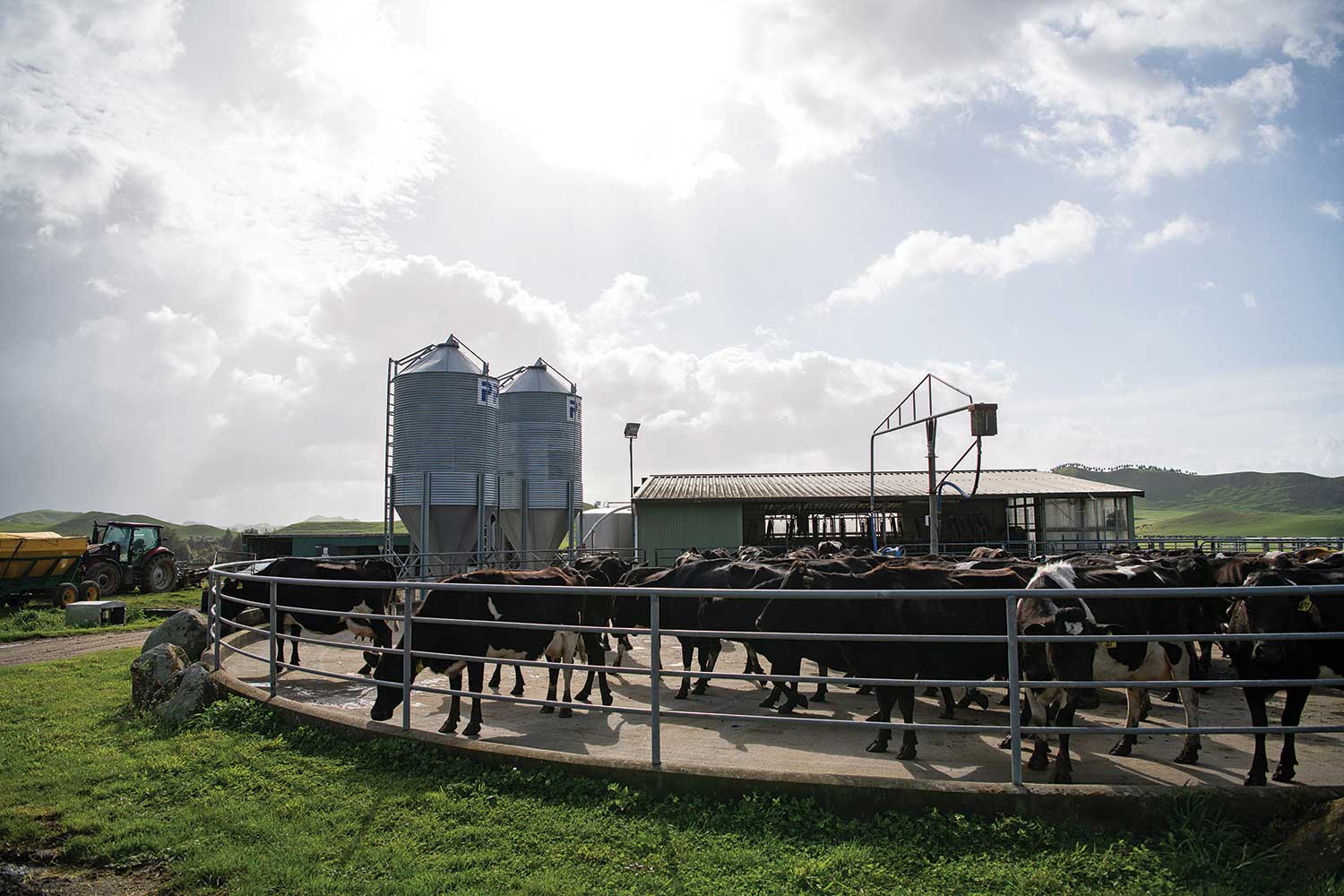Implementing Flexible Milking - DairyNZ | DairyNZ