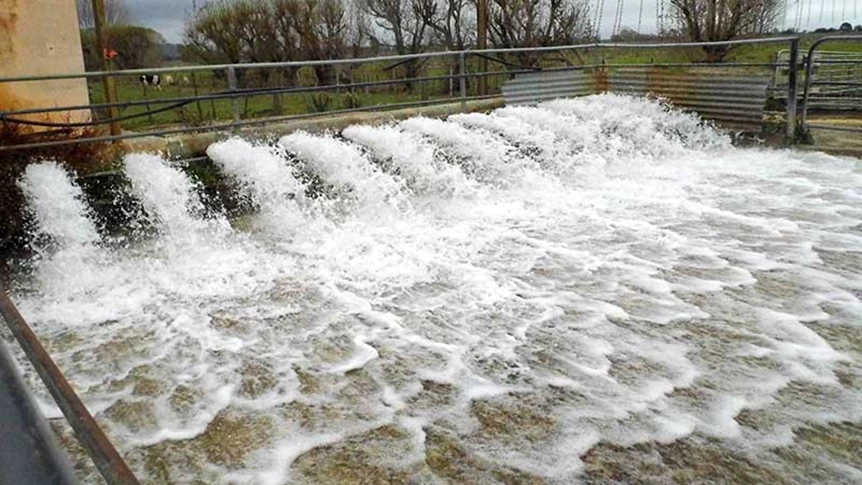Yard cleaning - DairyNZ | DairyNZ