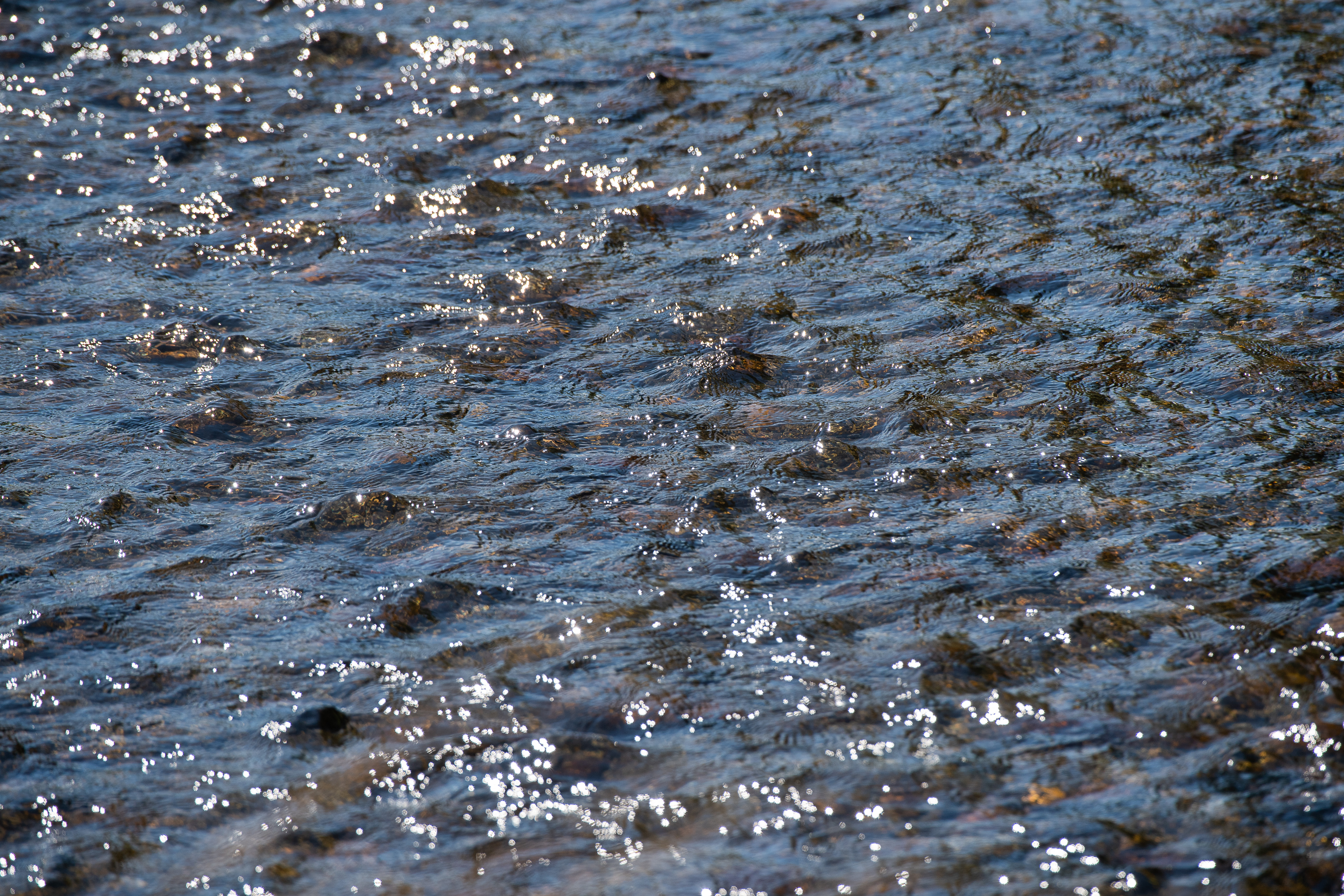 Waterbodies and wetlands | DairyNZ