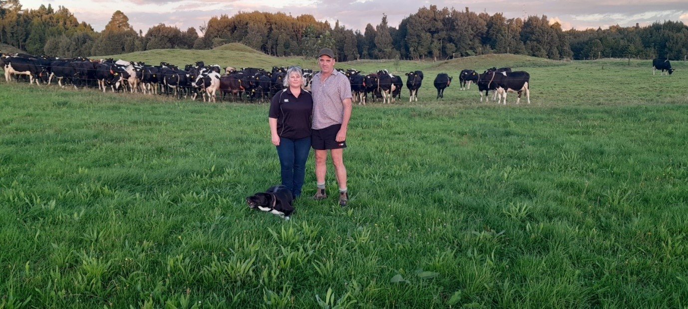 Plantain partner farm, Steve and Paula Holdem (Rotorua) | DairyNZ