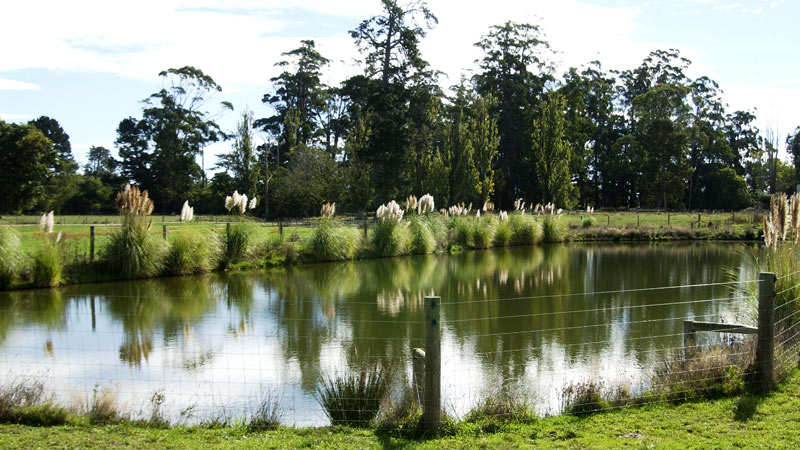 Odour Management | DairyNZ